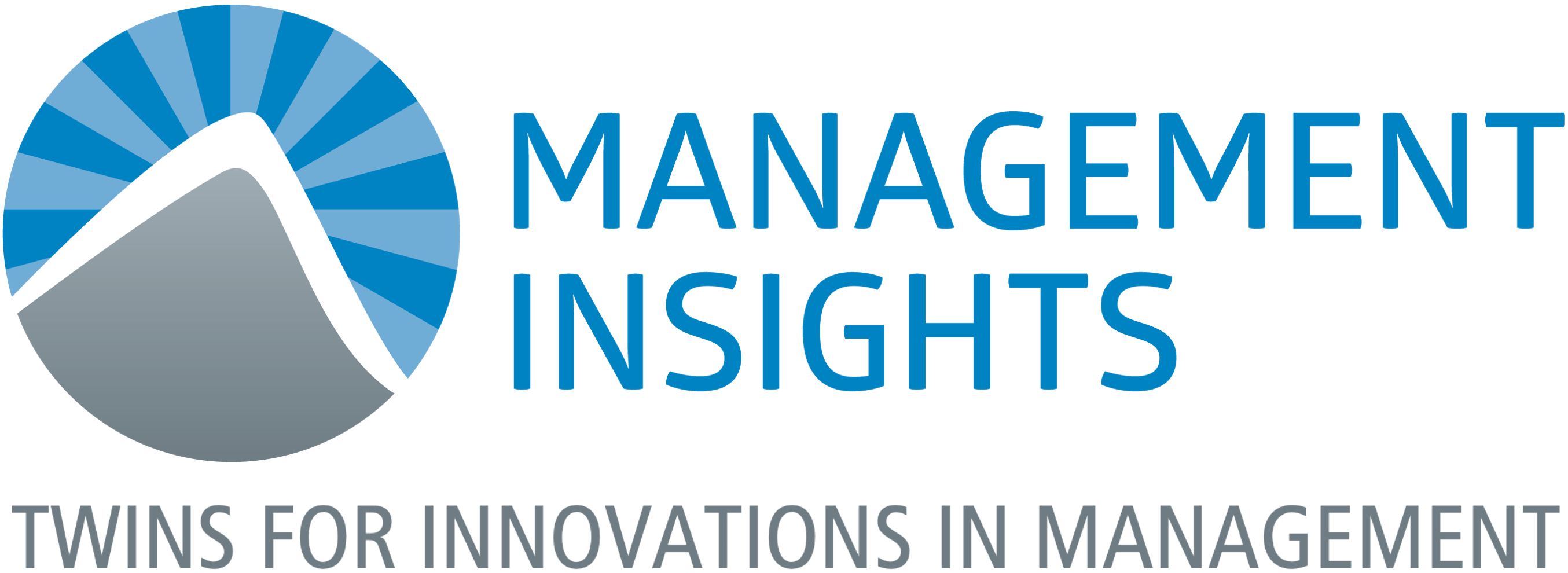 Management Insights | elbcoach